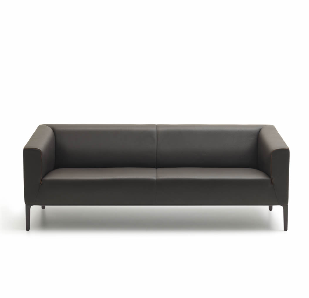 de Sede Sofa DS-161