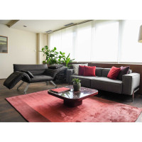 de Sede Liege DS-142 | Drifte Onlineshop